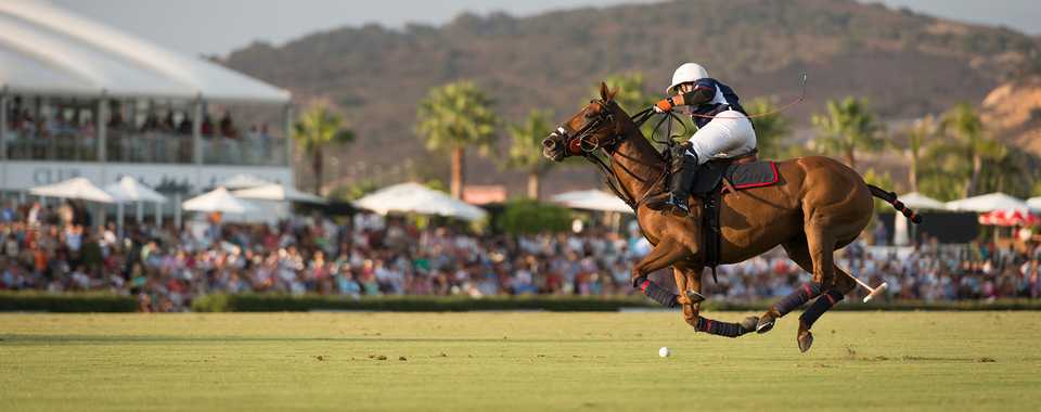 Equestrian Events | Tracsis Events